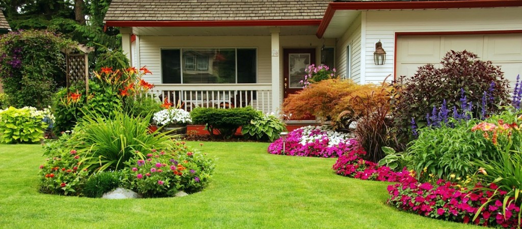 5 conseils pour réussir son jardin – jardinage-conseils.fr